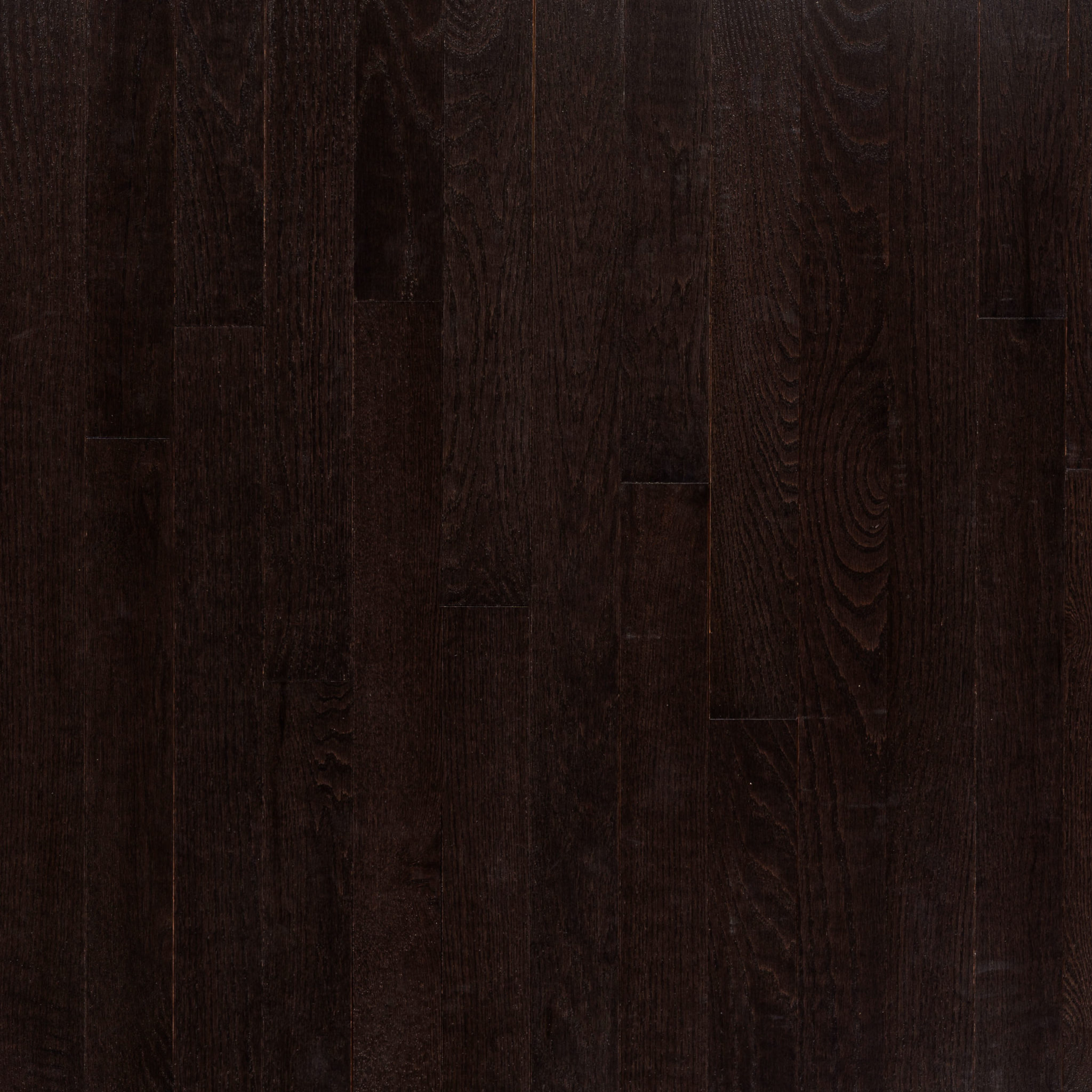 3/4" x 2-1/4" Tulip Prefinished Midnight Oak Hardwood Floor
