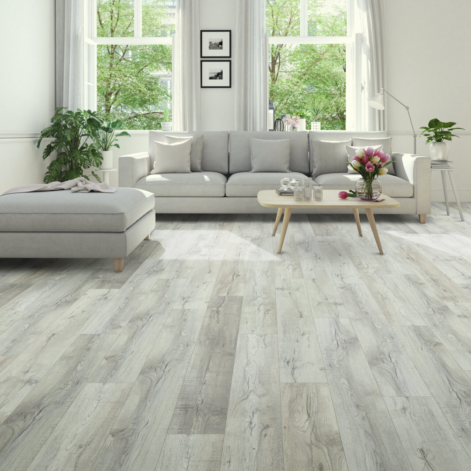 SPC Ibis Oak 20 mil W/ Pad attached - PC Hardwood Floors