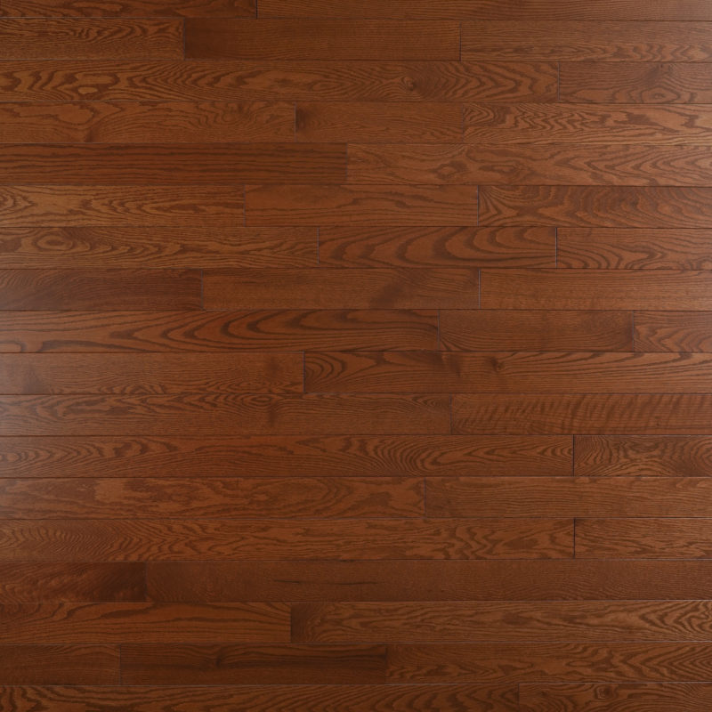 3/4" x 3-1/4" Butterscotch Prefinished Oak - Tulip Regency Collaction