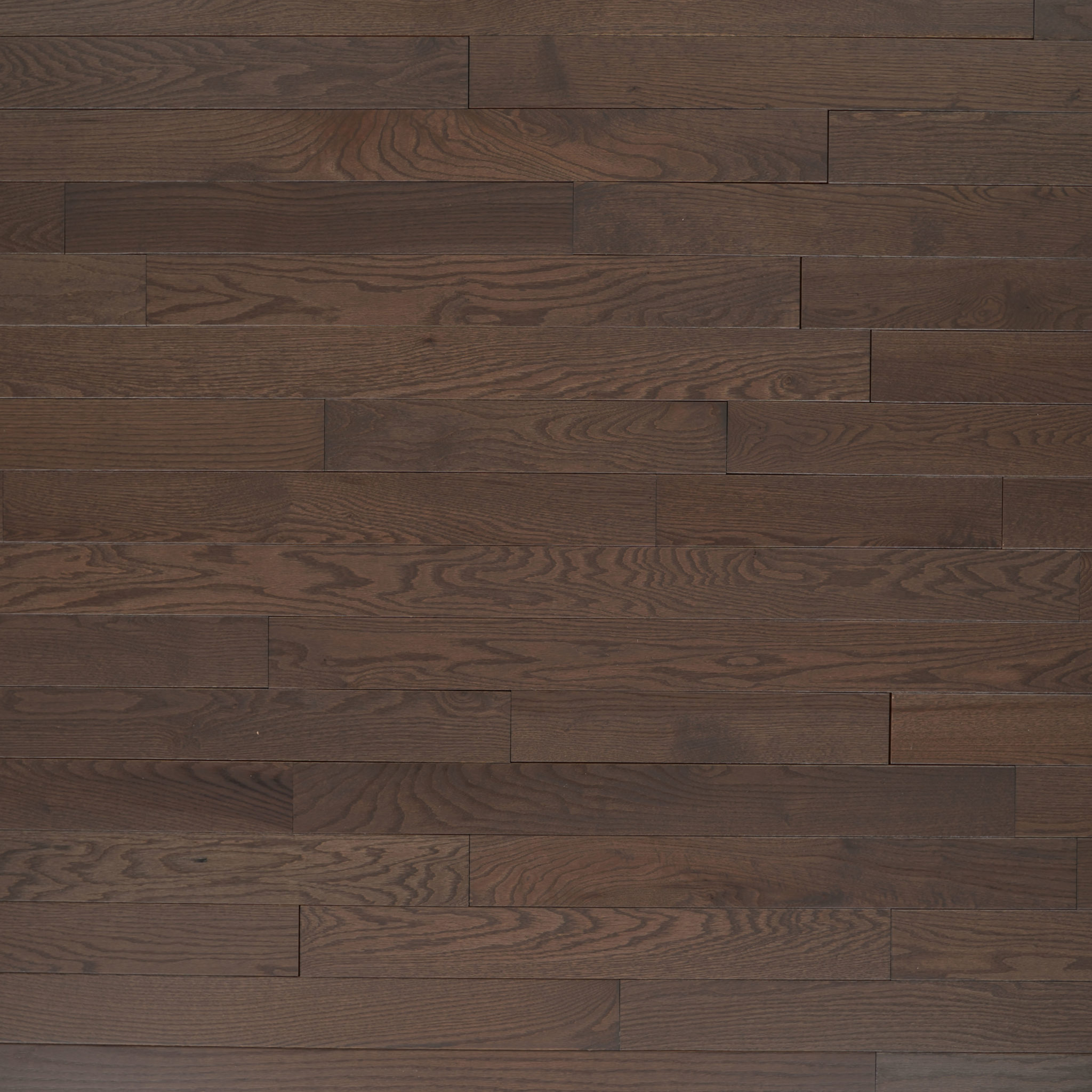 3/4" x 2-1/4" Caramel Prefinished Oak - Tulip Regency Collaction