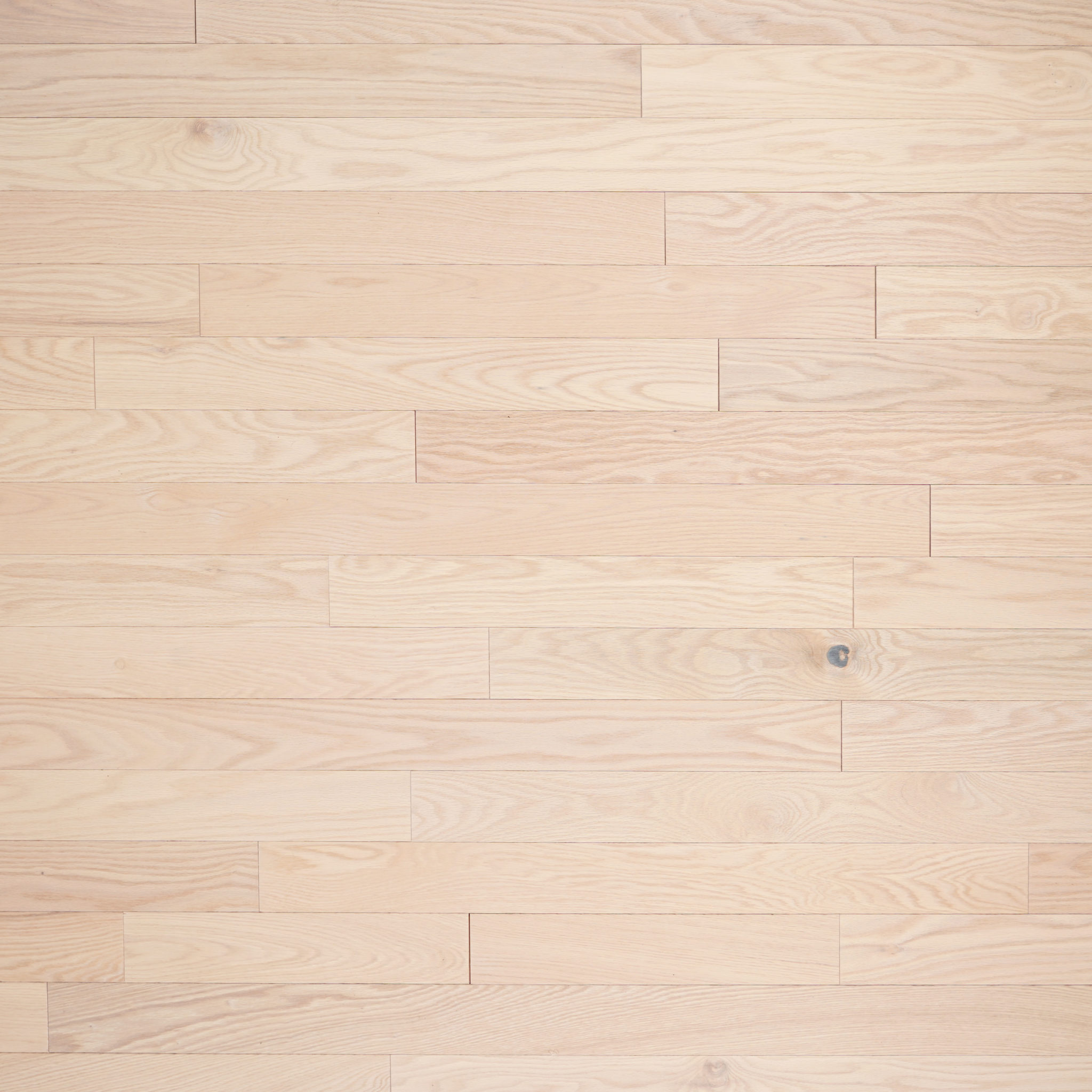 1/2"x3-1/4" Prefinished Engineered Champagne Oak-Tulip Millennium ...