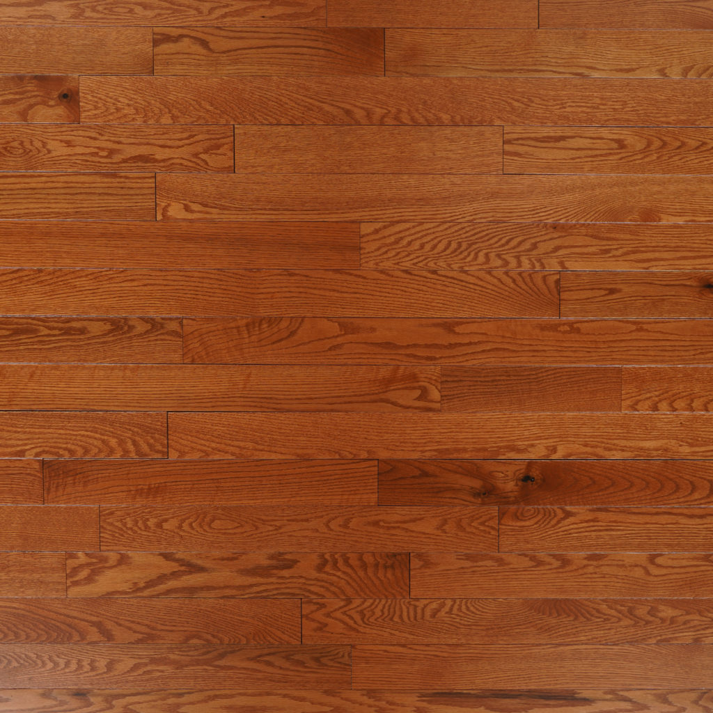 3/4" x 3-1/4" Golden Oak Prefinished - Tulip Regency Collaction